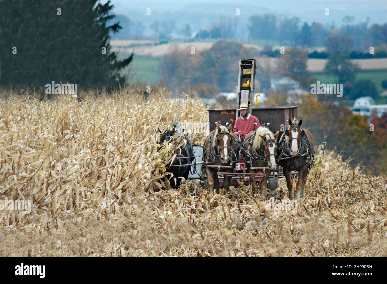 Amish children farming hi-res stock photography and images - Alamy