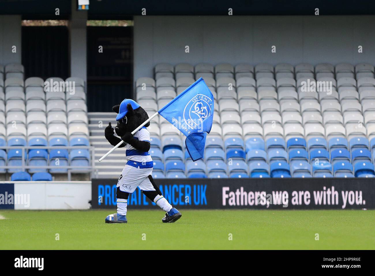 Queens park rangers mascot jude the cat hi-res stock photography and ...