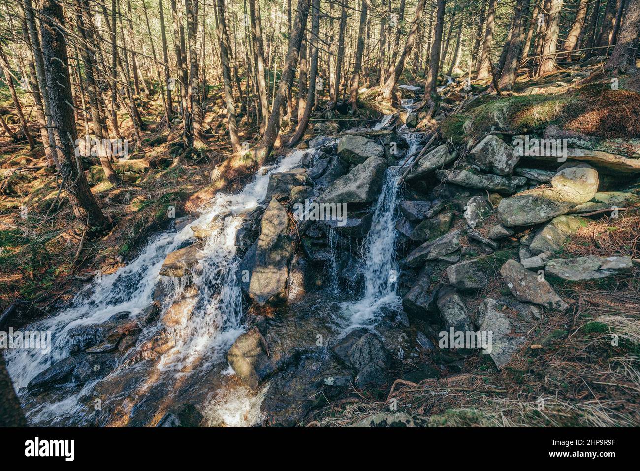 A waterfall in a forest Stock Photo - Alamy