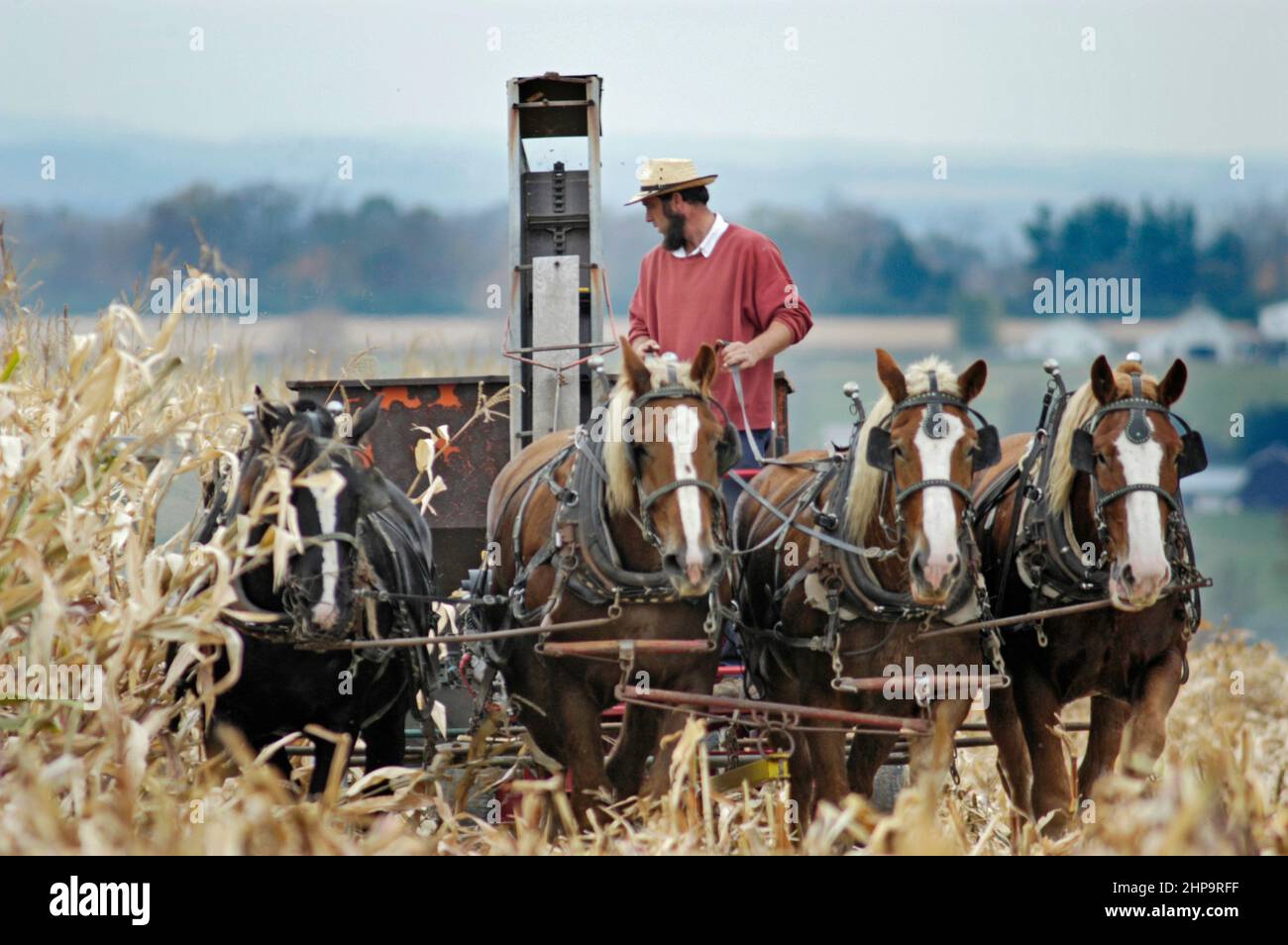 Amish children farming hi-res stock photography and images - Alamy