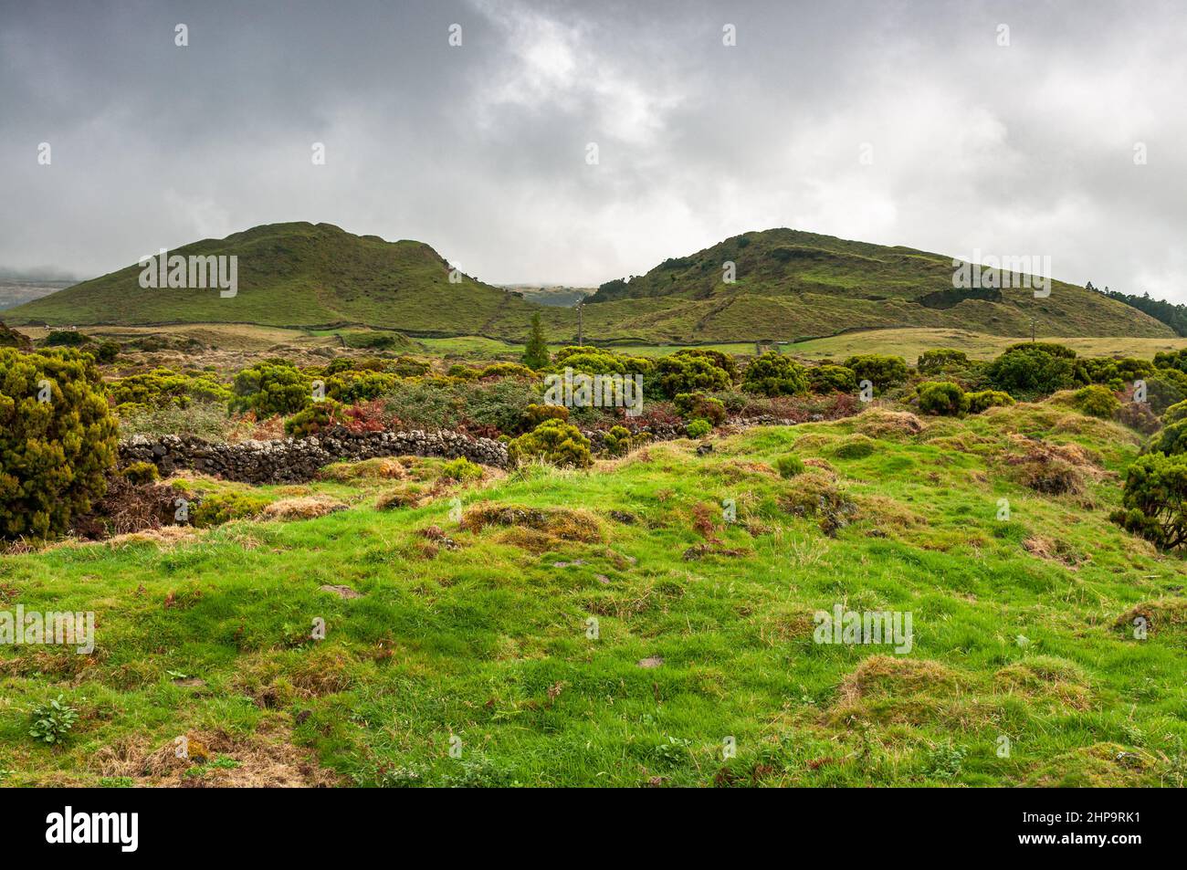 Volcanic landscape at Terceira island, Azores Stock Photo - Alamy