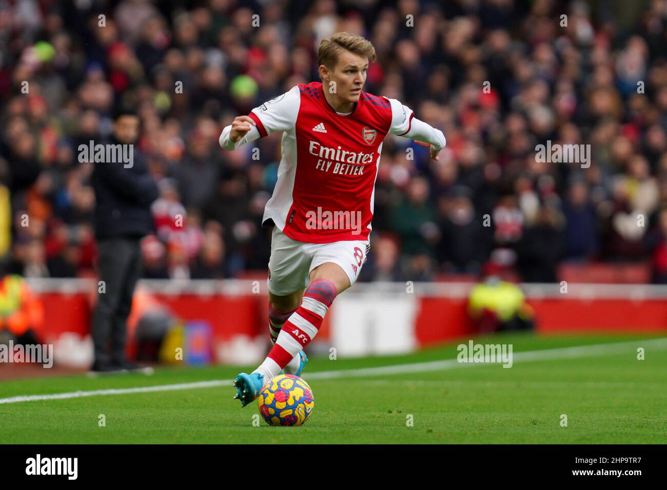 Martin odegaard portrait hi-res stock photography and images - Alamy