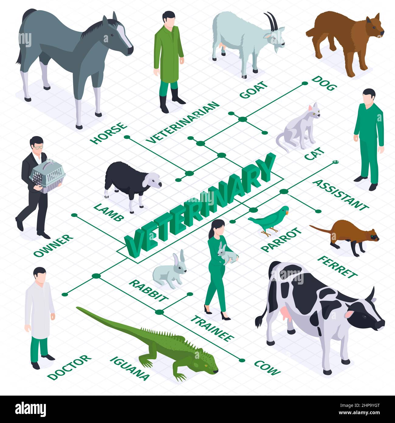 Domestic Animals Veterinarian Stock Vector Images - Alamy