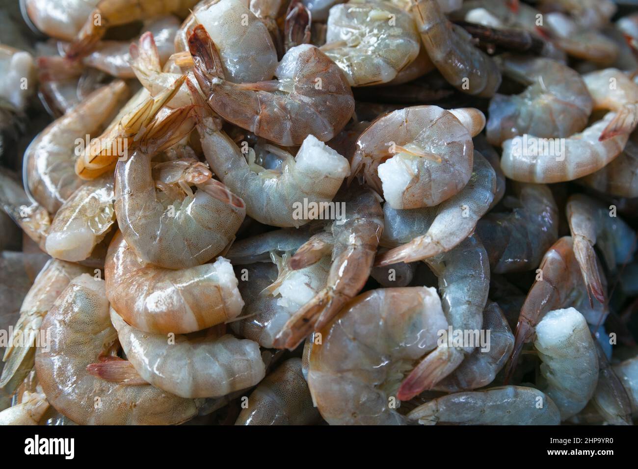 Photo of a pile of headless white shrimp Stock Photo - Alamy
