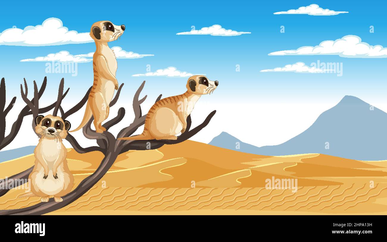 Meerkats in desert forest landscape illustration Stock Vector Image ...