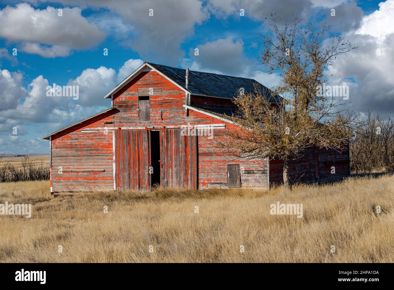 An abandoned barn on the prairies in Saskatchewan Stock Photo - Alamy