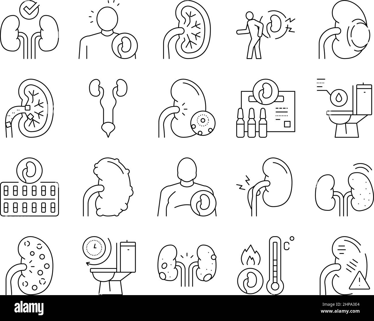 Nephritis Kidneys Collection Icons Set Vector Stock Vector Image & Art ...