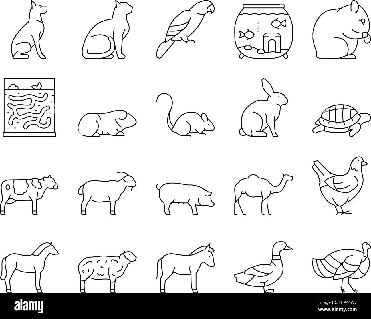 Pets Domestic Animal Collection Icons Set Vector Stock Vector Image ...