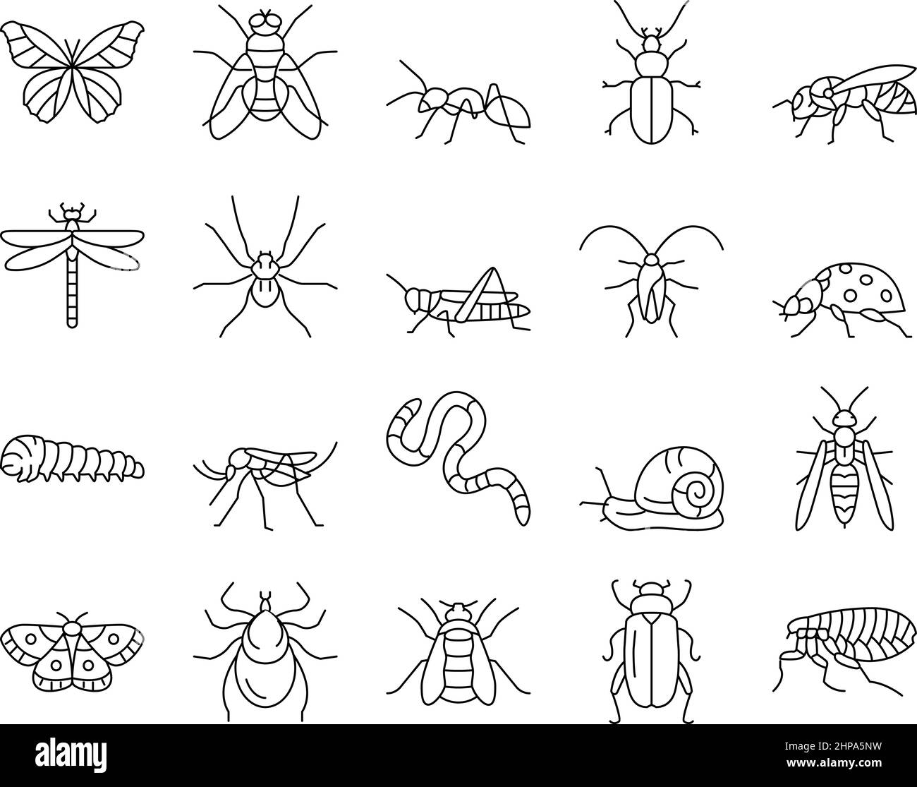 Insect, Spider And Bug Wildlife Icons Set Vector Stock Vector Image ...