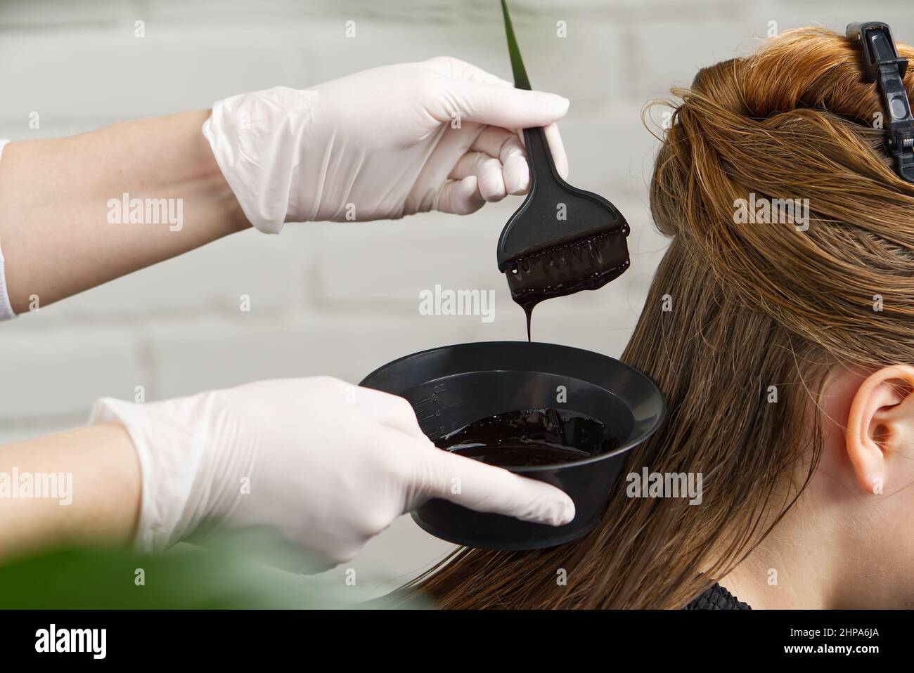 Young female hairdressed hands dyeing long hair to beautiful girl ...