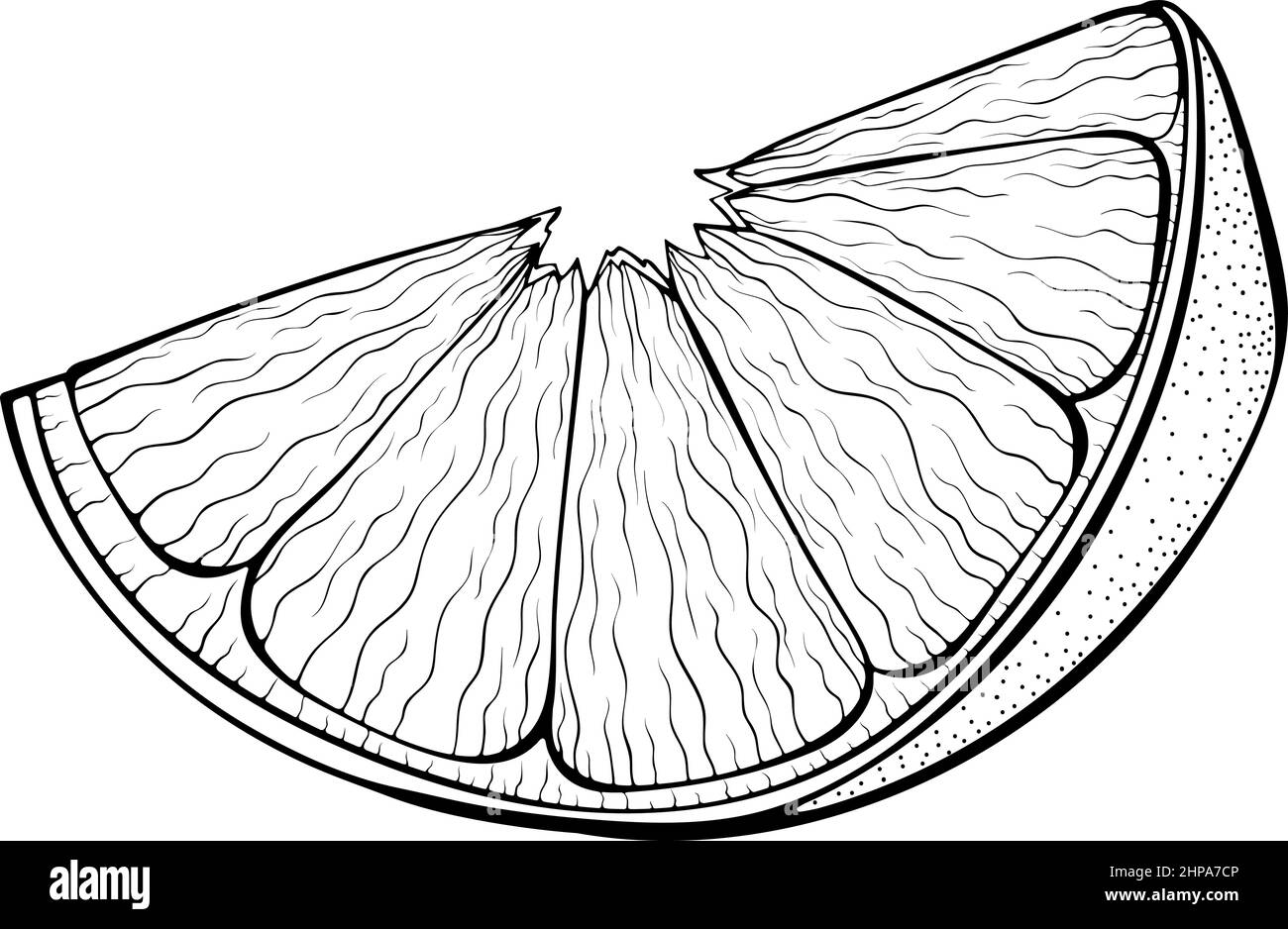 Tangerine segment Stock Vector Images - Alamy