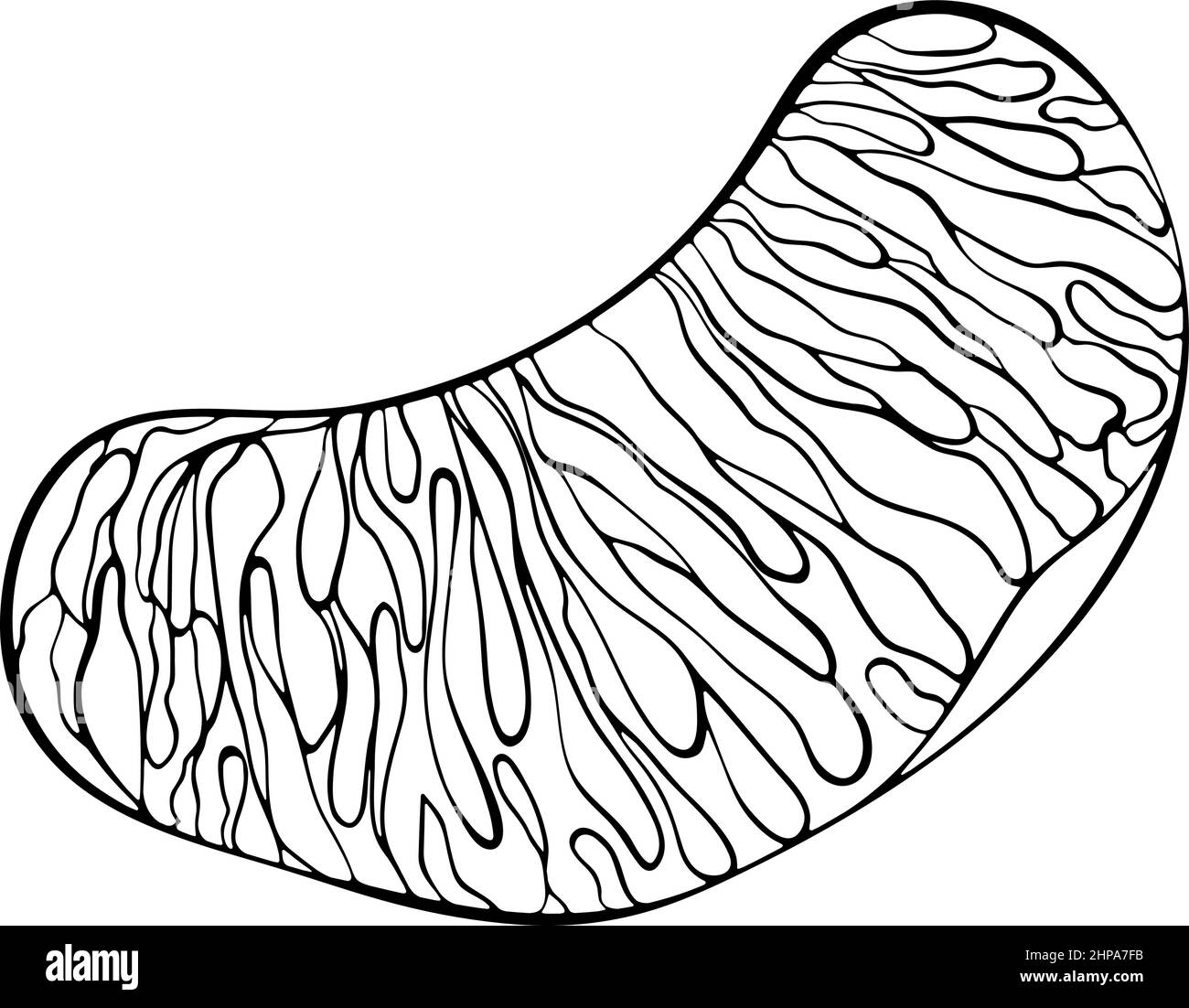 Print wedge Stock Vector Images - Alamy