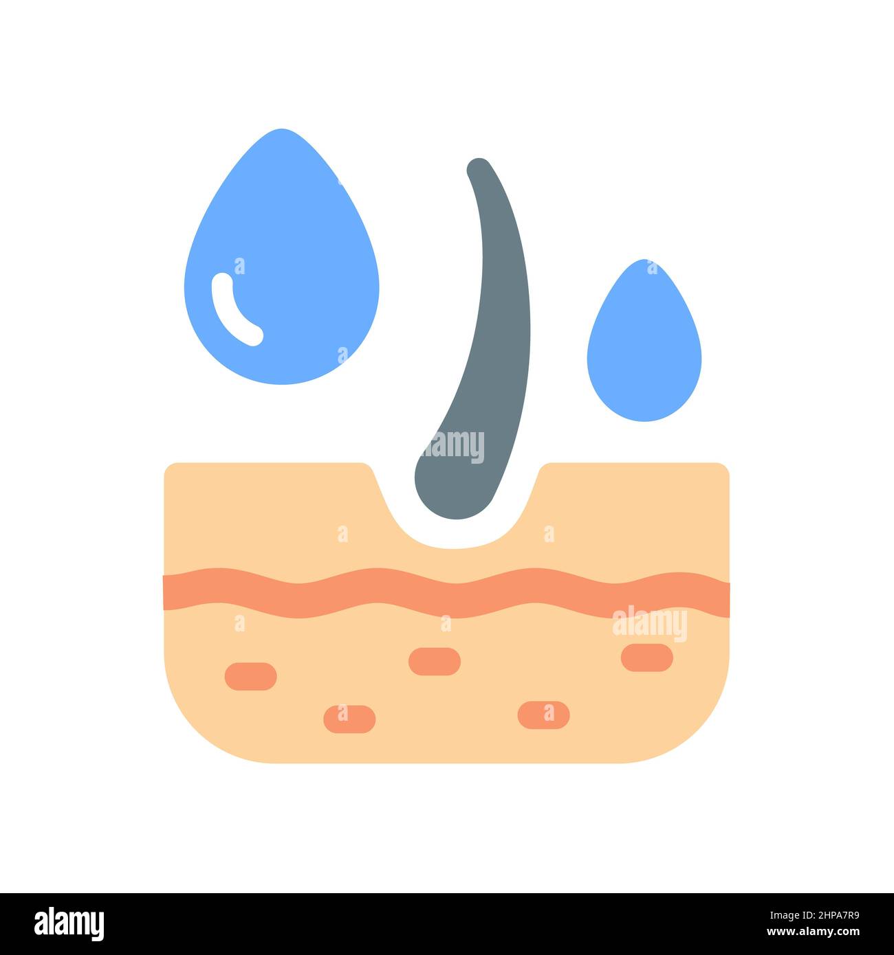 moisturizing skin epidermis dermatology skincare hydration single ...