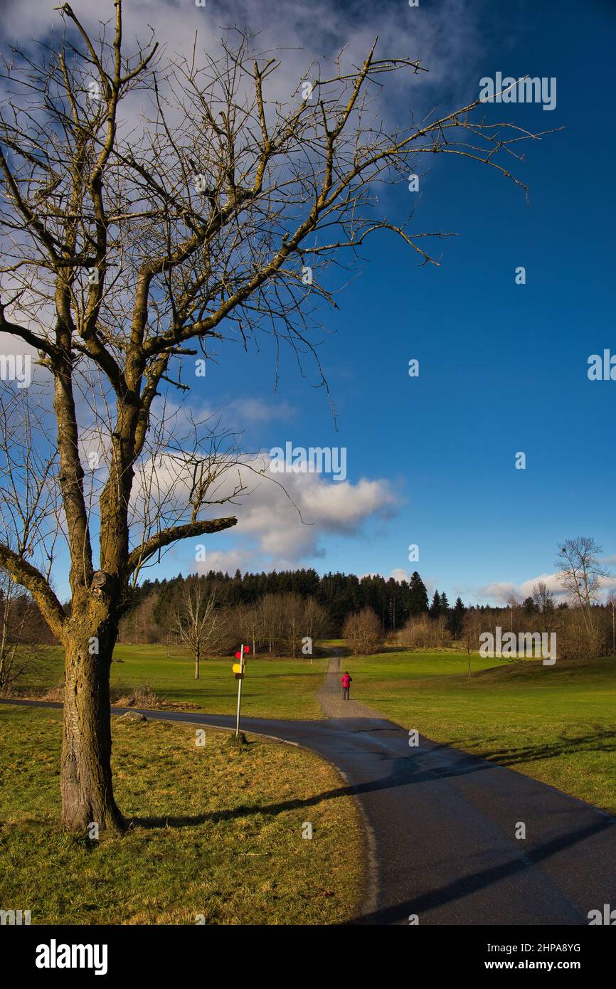 Outdoor park with an asphalt road in the middle Stock Photo - Alamy
