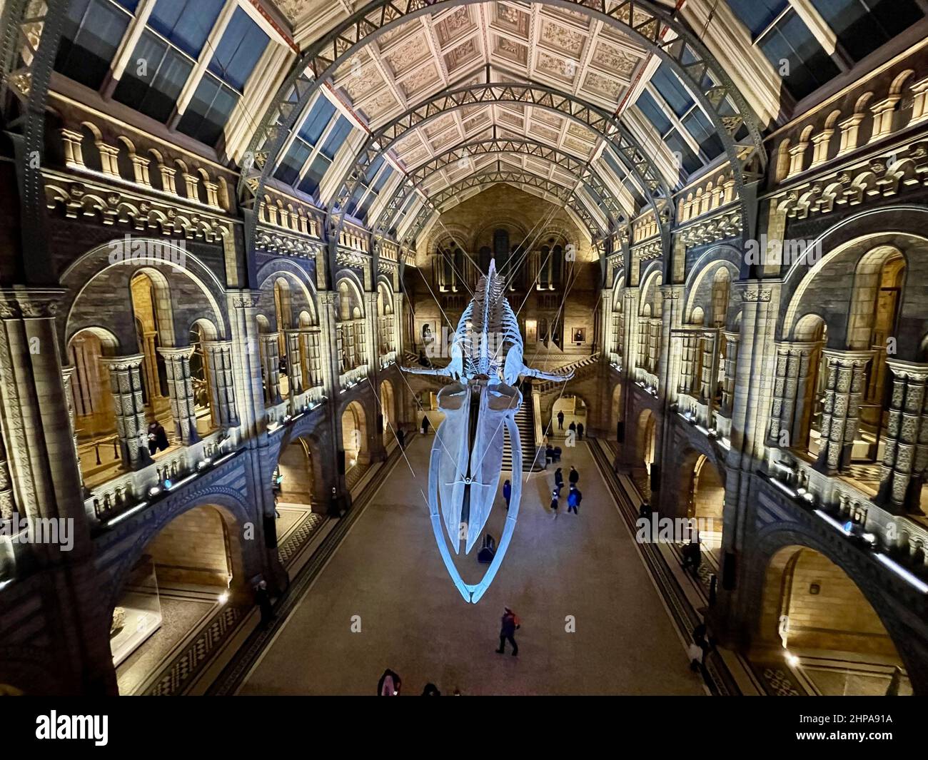 Interior view of the London National History Museum in the United ...