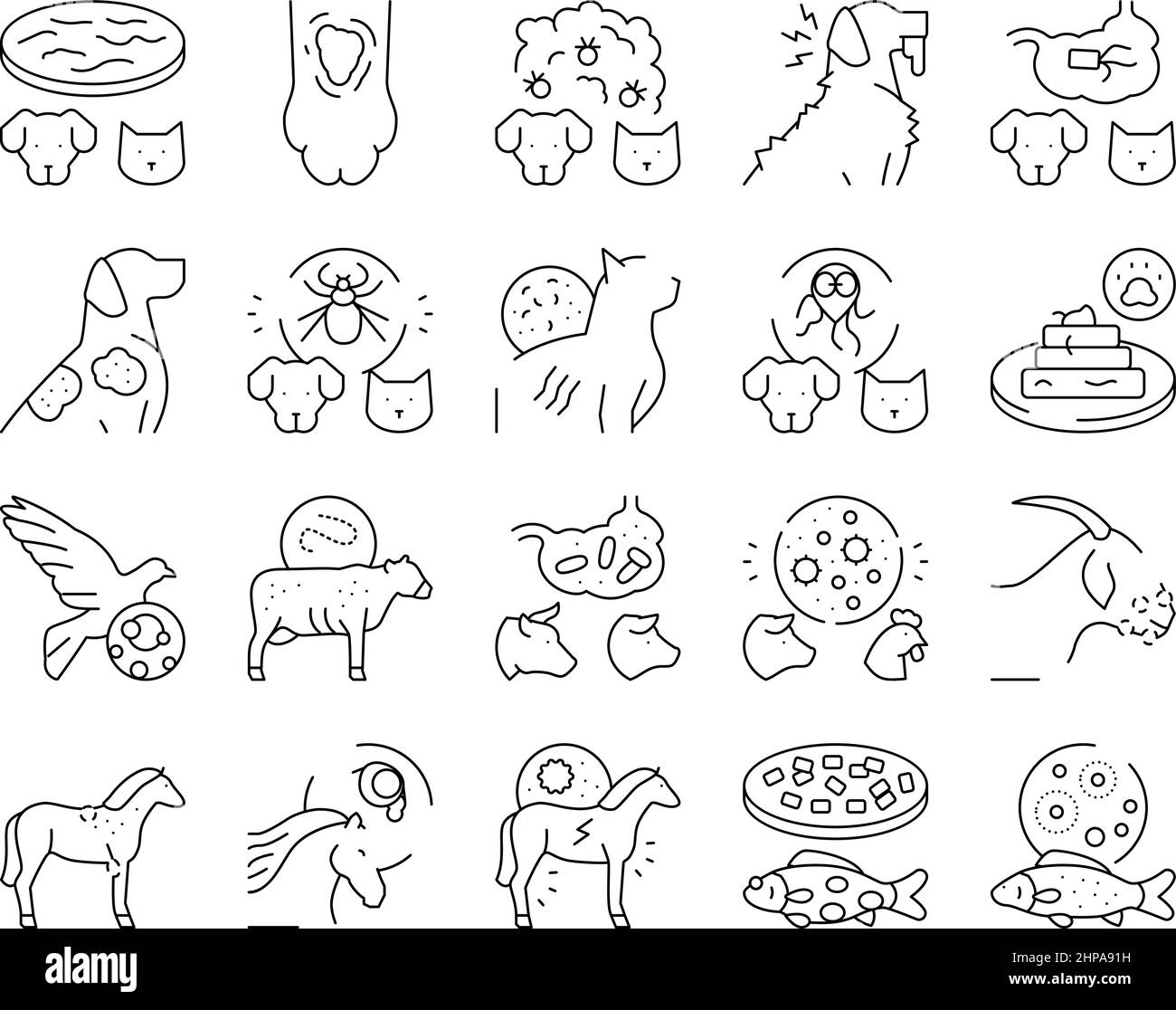 Ill bird Black and White Stock Photos & Images - Alamy