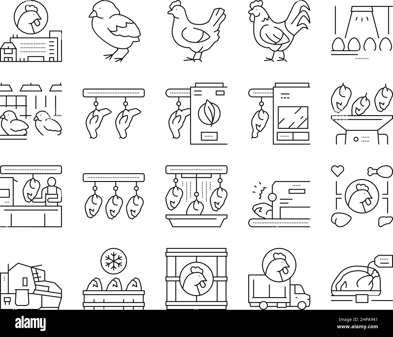 Chicken Meat Factory Collection Icons Set Vector Stock Vector Image ...