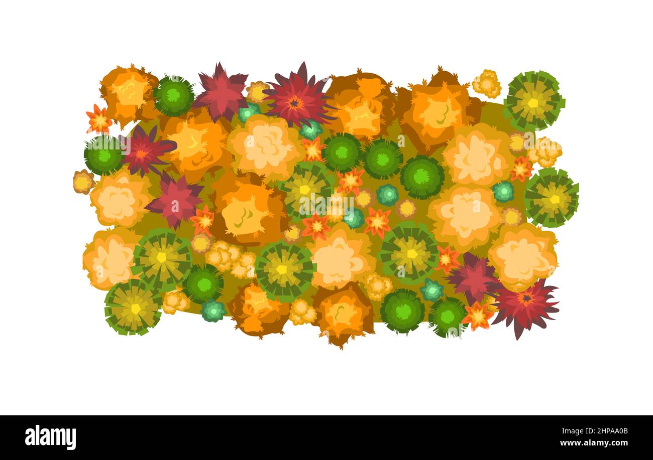 Rectangle Autumn landscape top view. Scene with yellow and orange trees ...