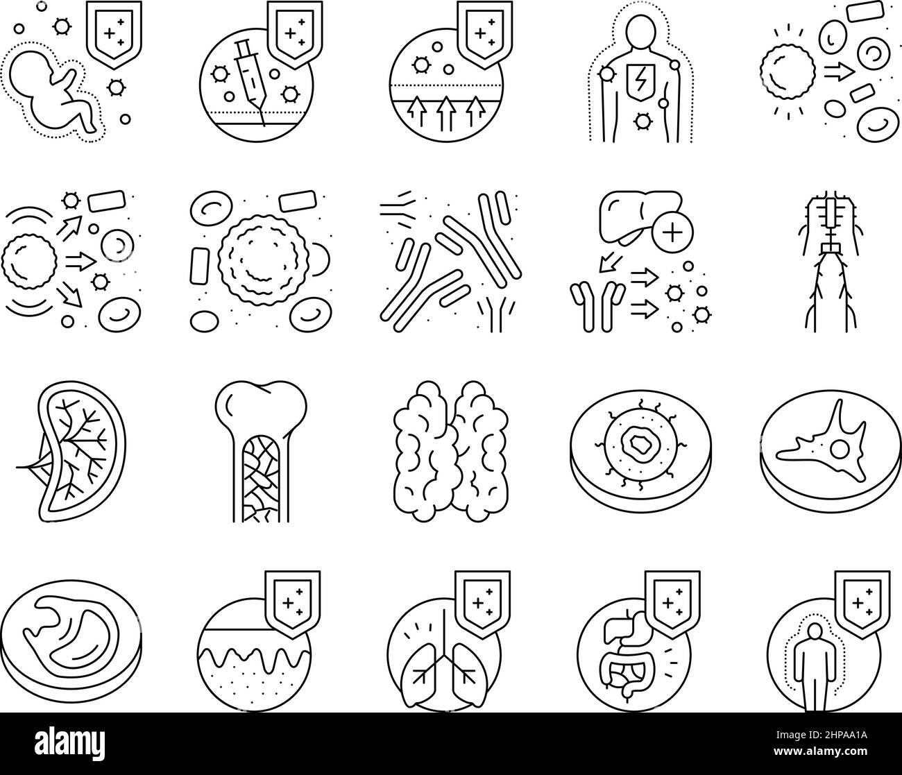 Immune System Disease And Treat Icons Set Vector Stock Vector Image ...