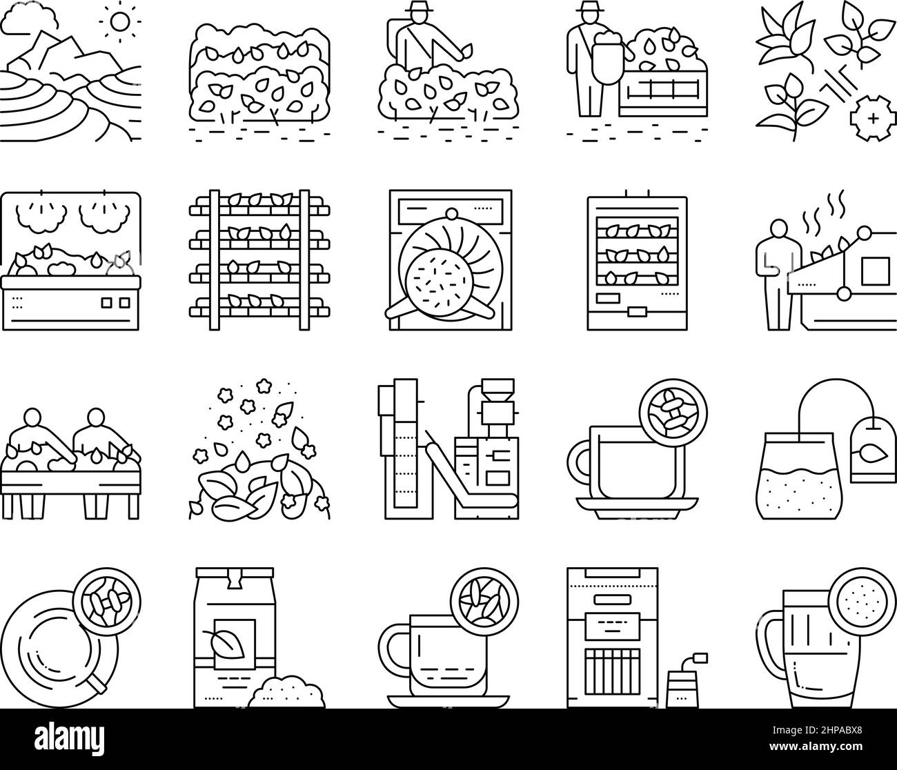 Tea Drink Production Collection Icons Set Vector Stock Vector Image ...
