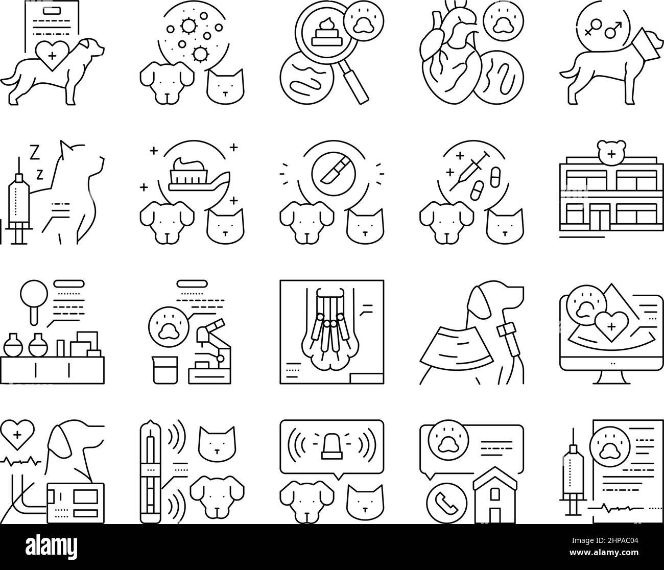 Hospital Pet Health Examination Icons Set Vector Stock Vector Image ...