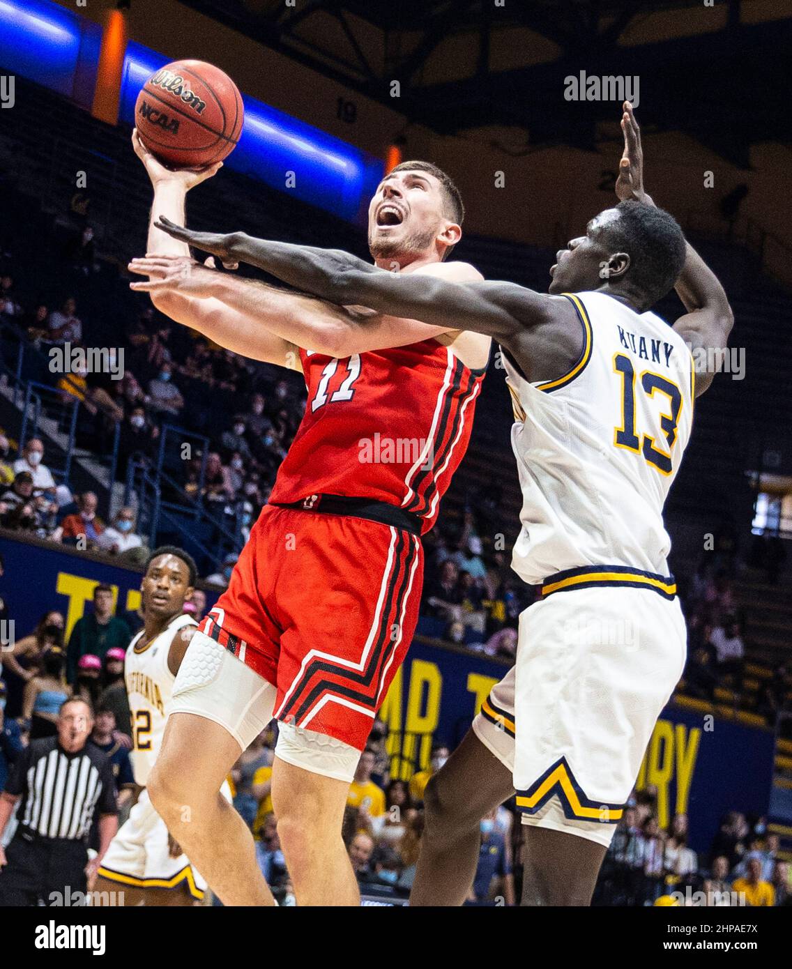 Riley hass hi-res stock photography and images - Alamy