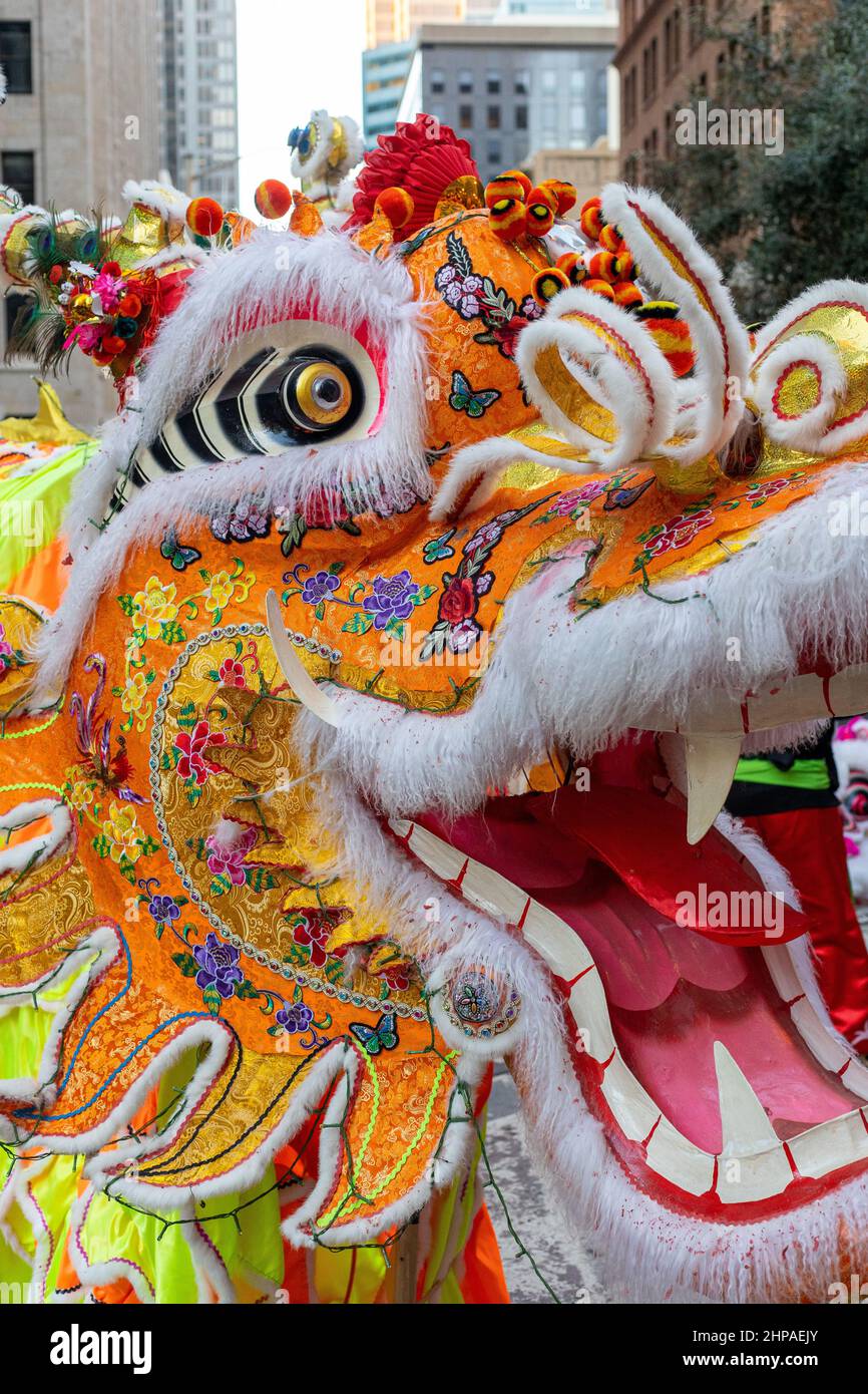 San Francisco, California, USA. 19th Feb, 2022. Close-up detail of a ...