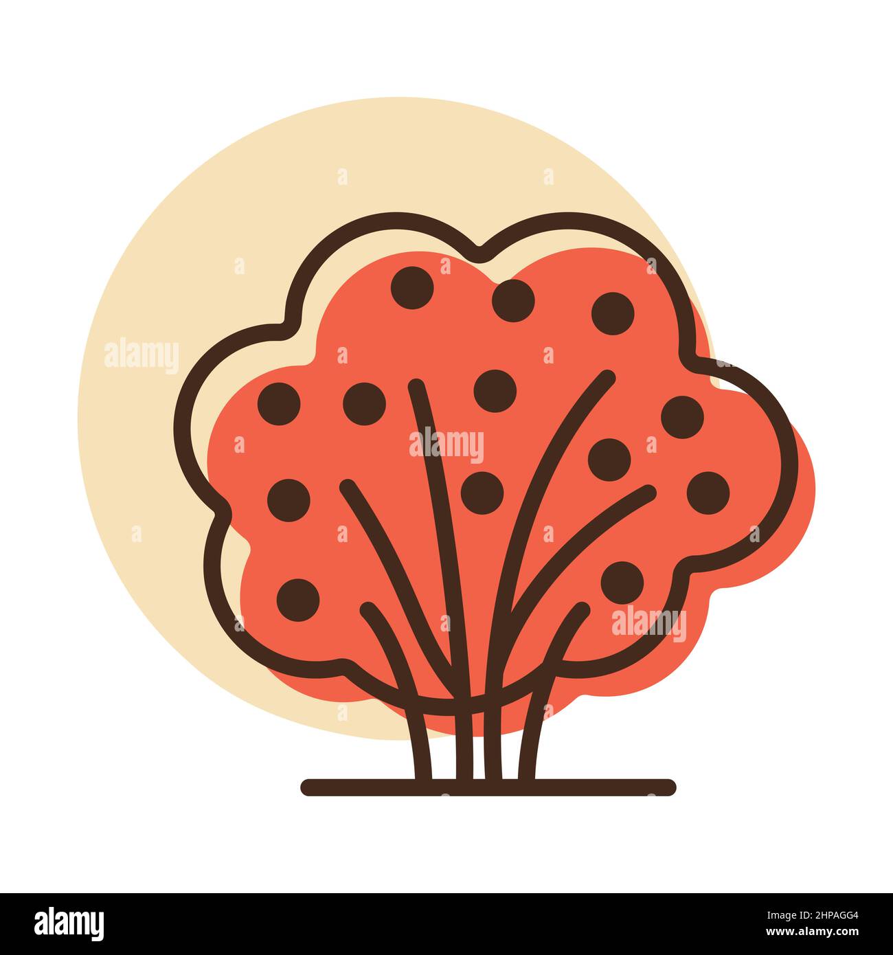 Currant black plants Stock Vector Images - Alamy