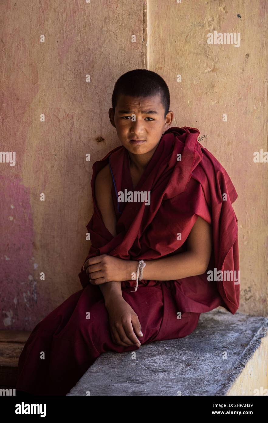 Young lama outside key monastery, Spiti Valley, Himachal Pradesh, India ...