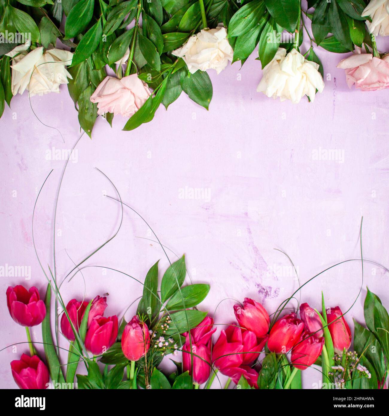 beautiful background with flowers . Spring summer border template ...