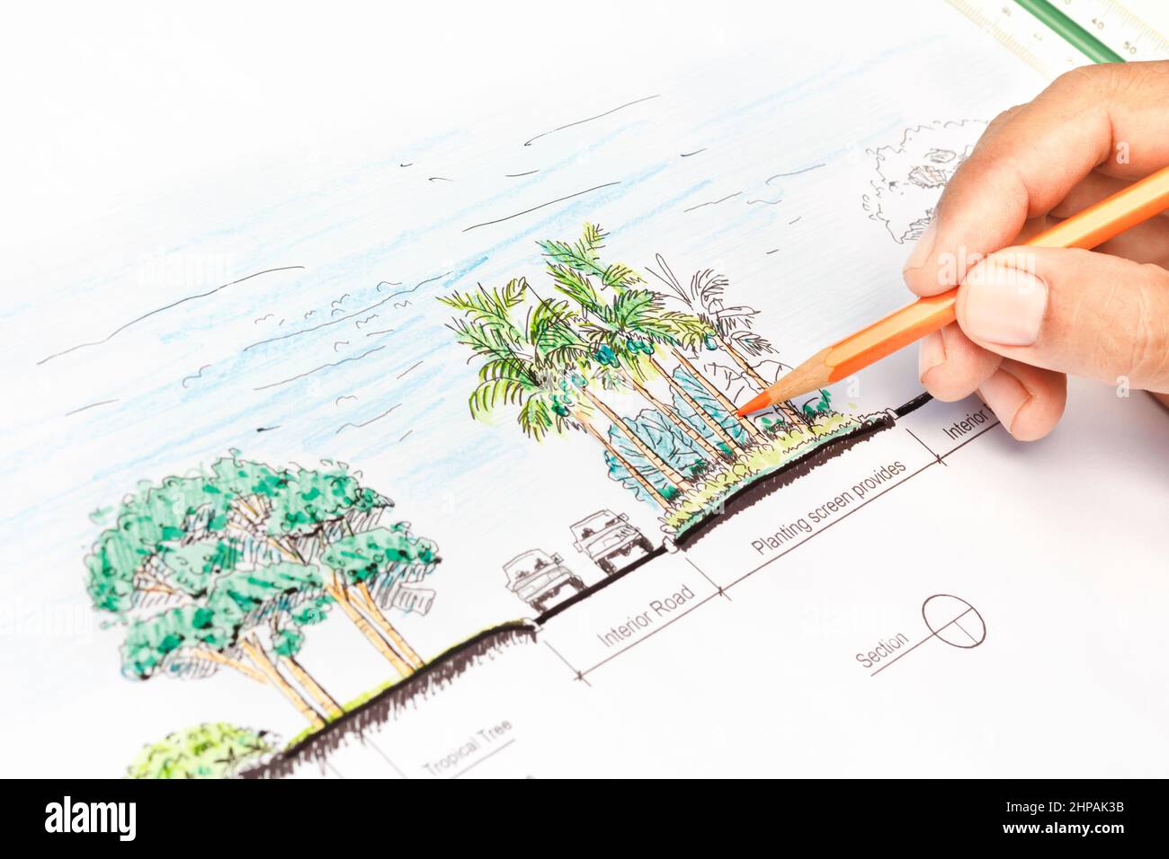 Landscape architect design section plan Stock Photo - Alamy
