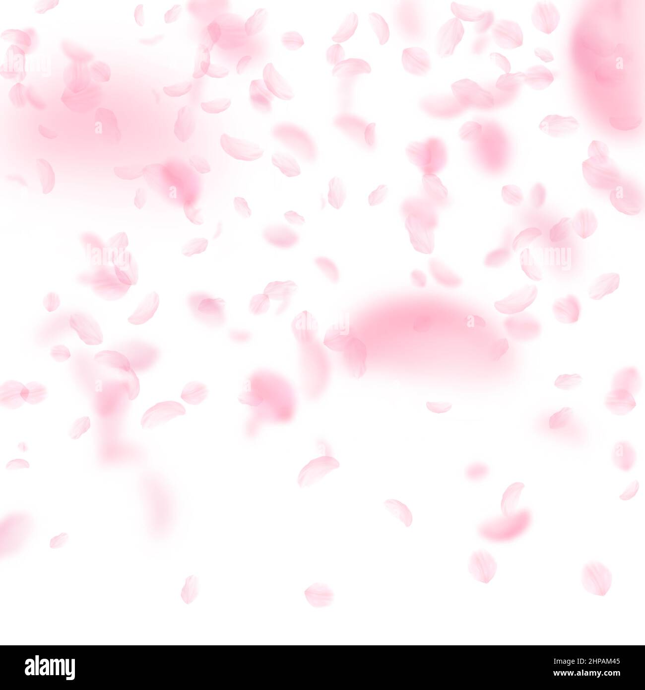 Sakura petals falling down. Romantic pink flowers gradient. Flying ...