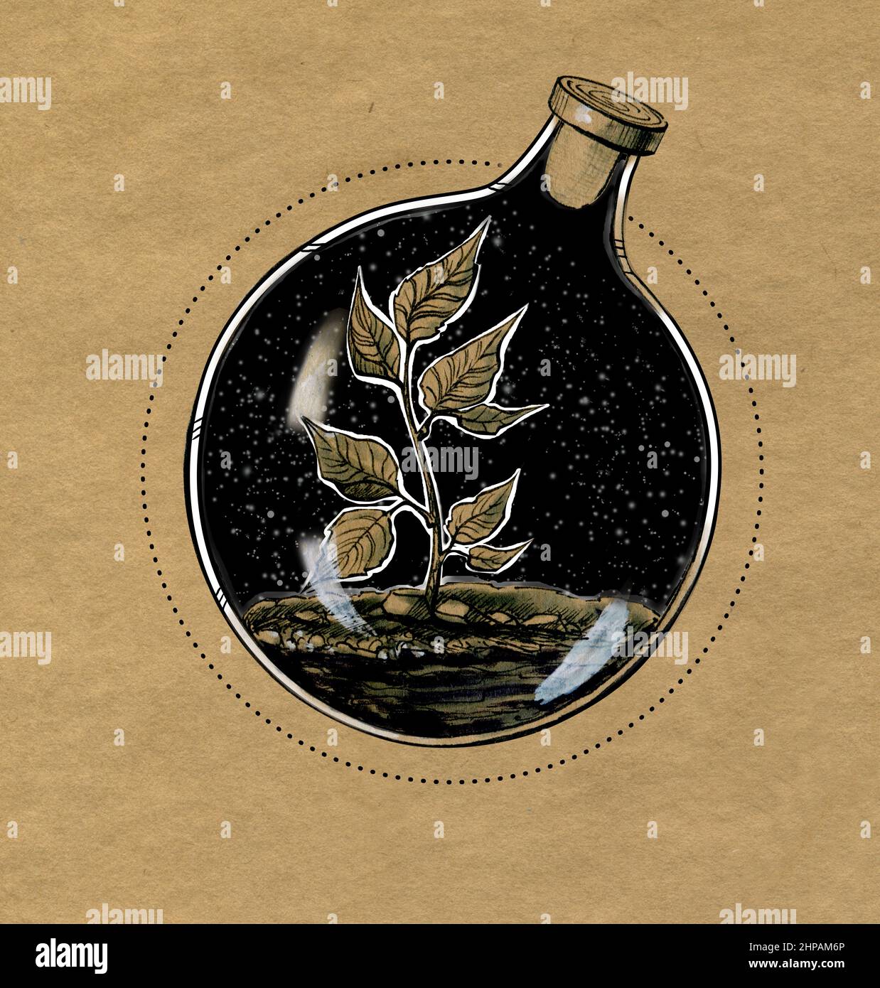 A sprout in a bottle, black and white ink drawing on craft paper Stock ...