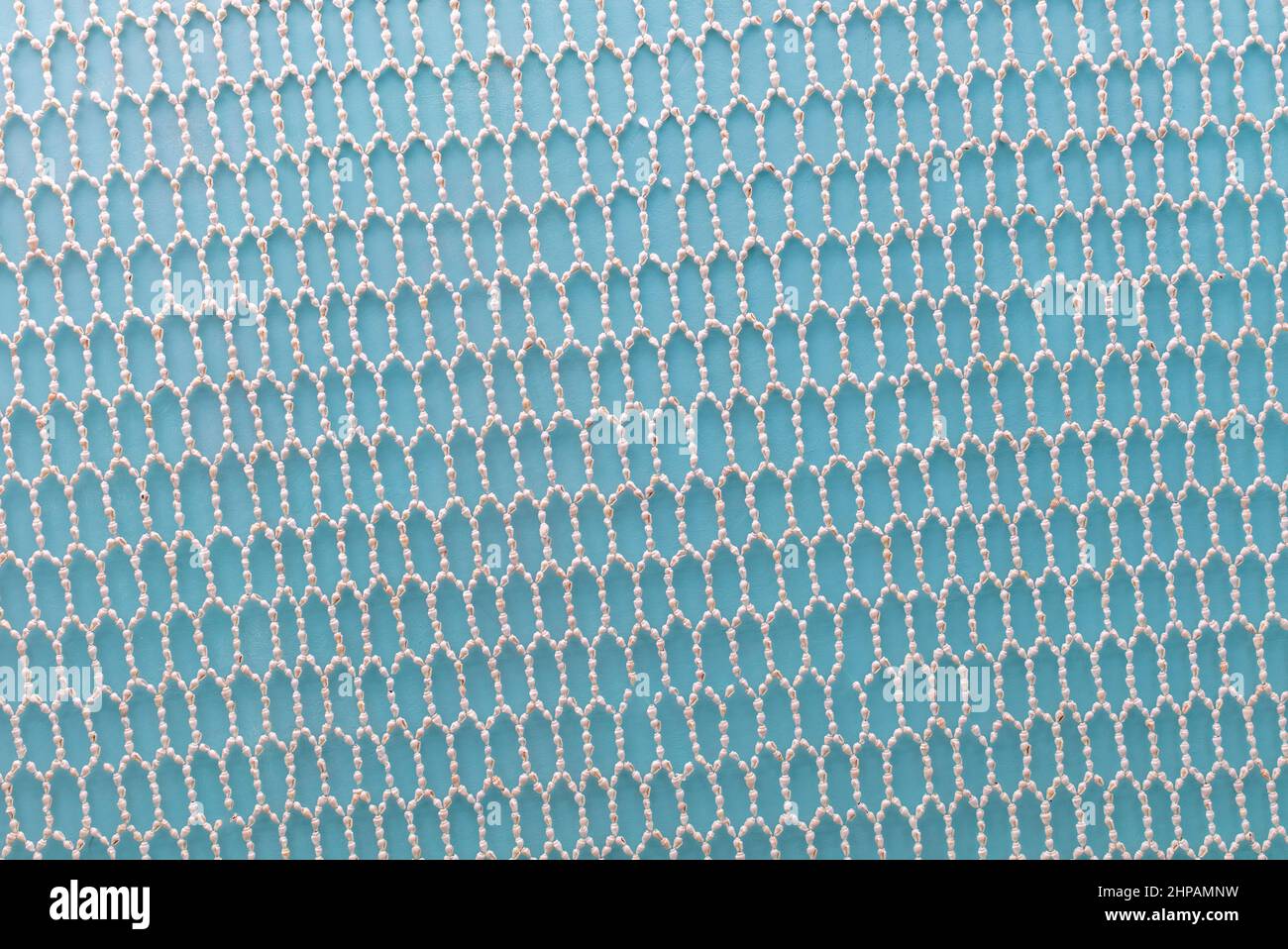 Seashell pattern on a light blue background. Geometrical pattern Stock ...
