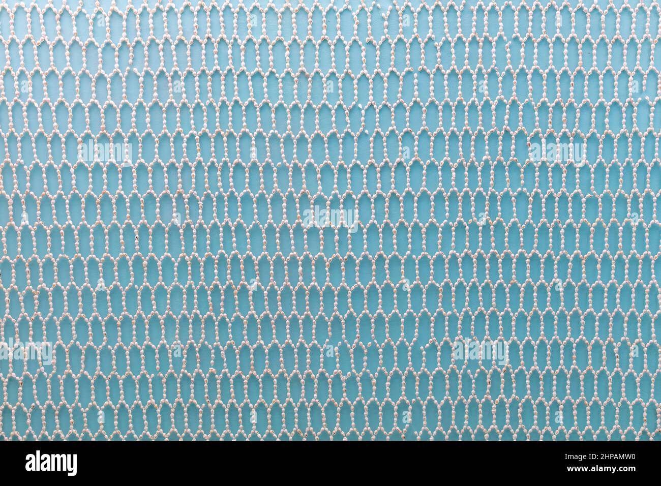 Seashell pattern on a light blue background. Geometrical pattern Stock ...