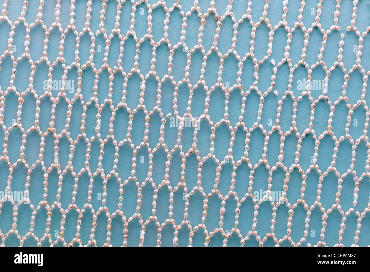 Seashell pattern on a light blue background. Geometrical pattern Stock ...