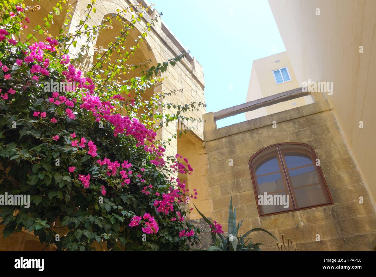 Traditional farmhouse courtyard with Bougainvilla in Gozo, Malta Stock ...