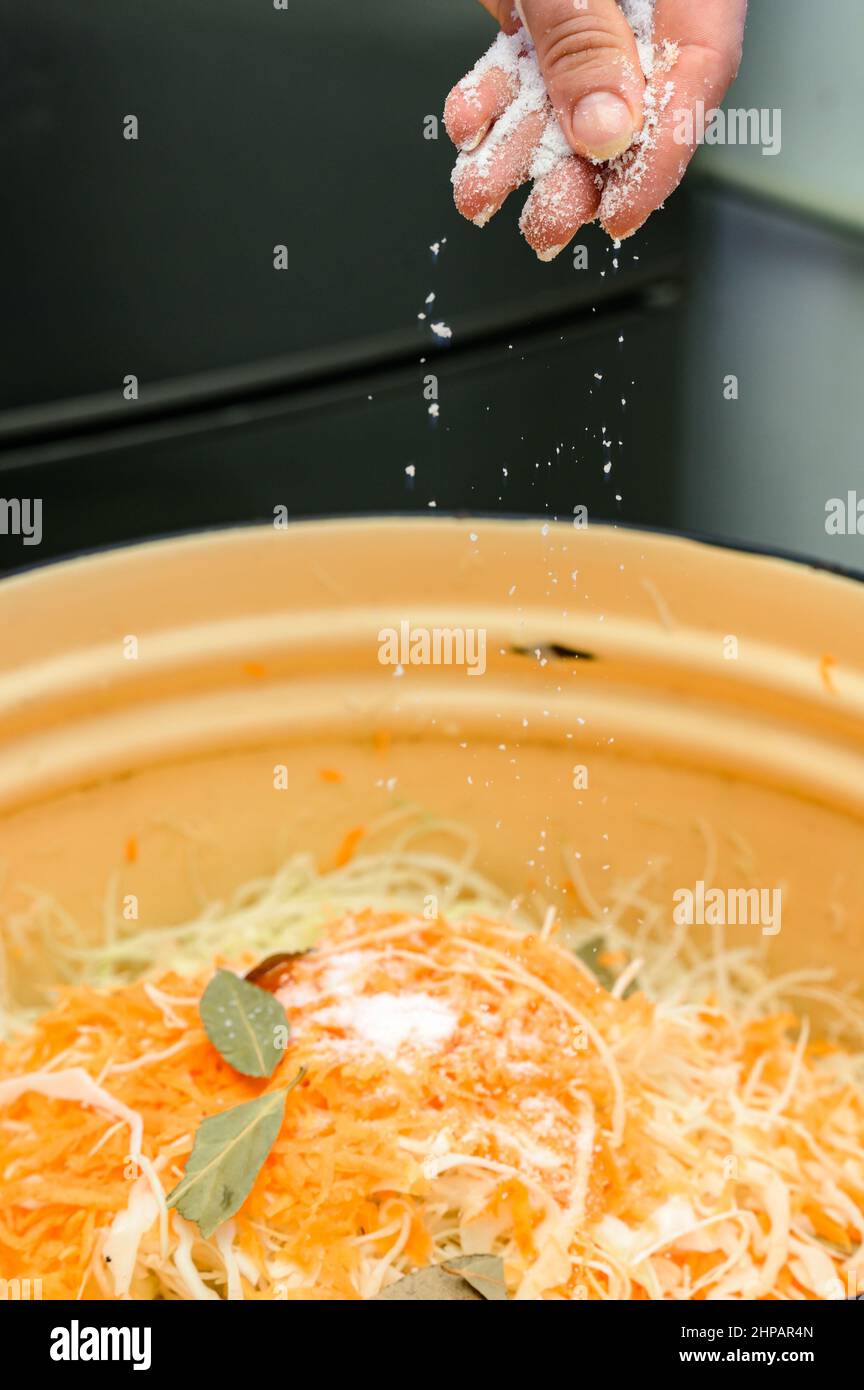 Pickled cabbage close up, woman salting cabbage for sourdough, cooking ...