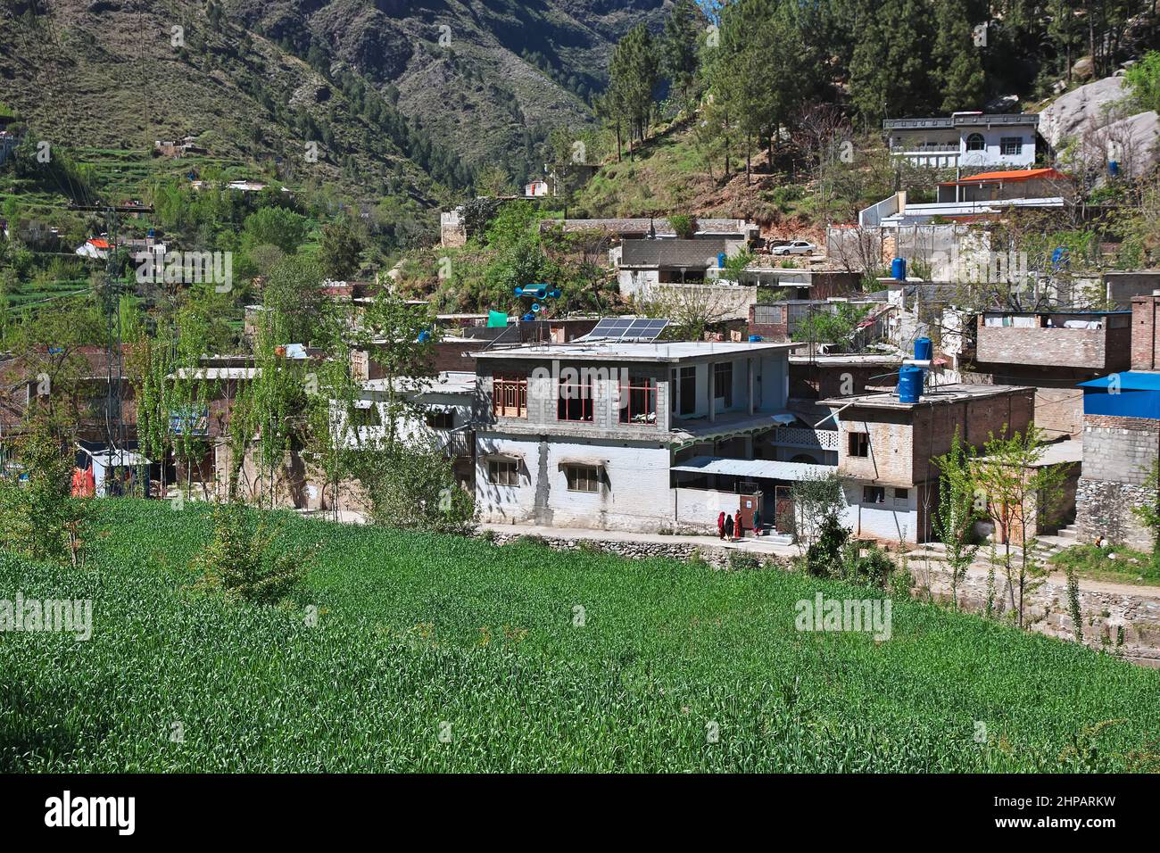 A small village close Mingora in Swat valley of Himalayas, Pakistan ...