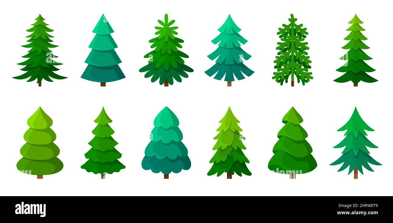 Cartoon Pine Tree Png