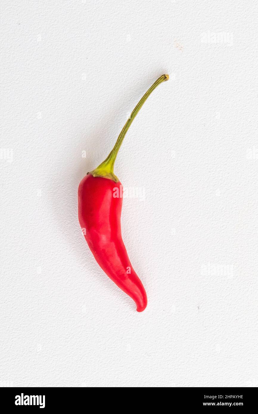 Single redchilli pepper hi-res stock photography and images - Alamy
