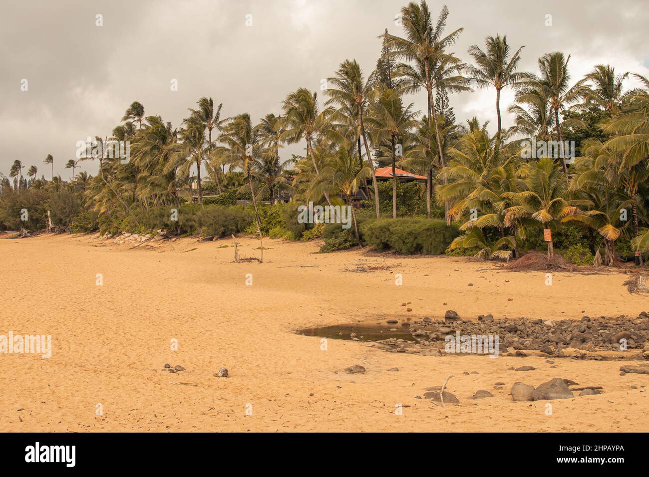 Panoramic landscape from a beach in Kauai, Hawai. High quality photo ...
