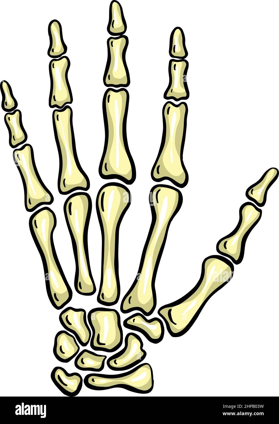 Cartoon Skeleton Hand Gesture Illustration Vector for Halloween Stock ...