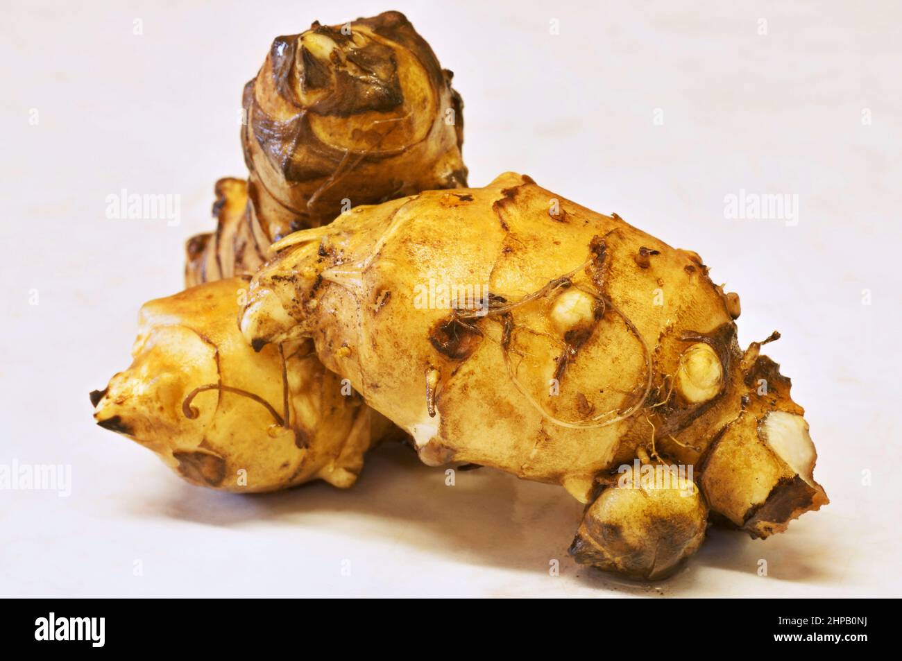 Three Jerusalem artichoke (Jewish potato) on white kitchen board Stock ...