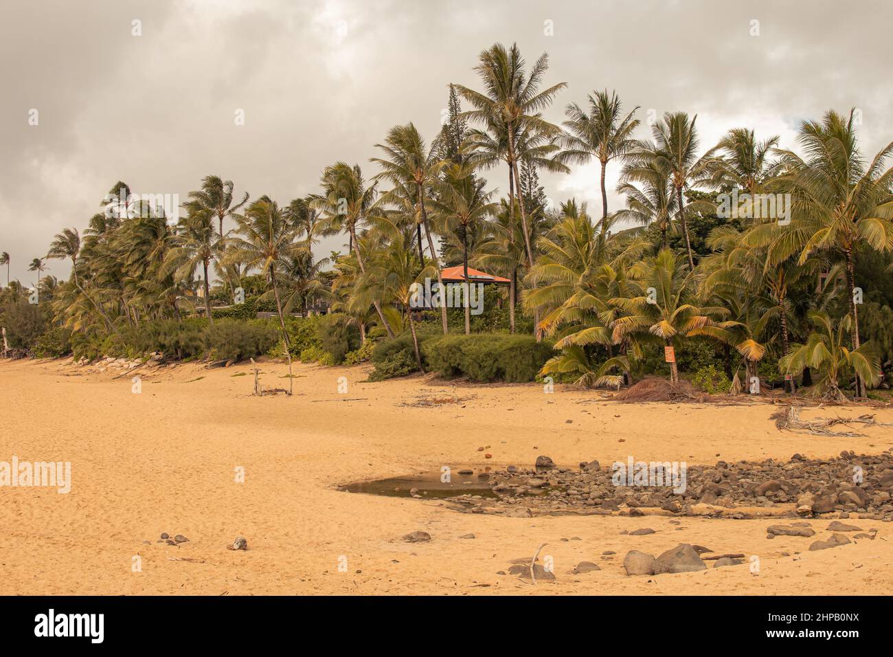 Panoramic landscape from a beach in Kauai, Hawai. High quality photo ...