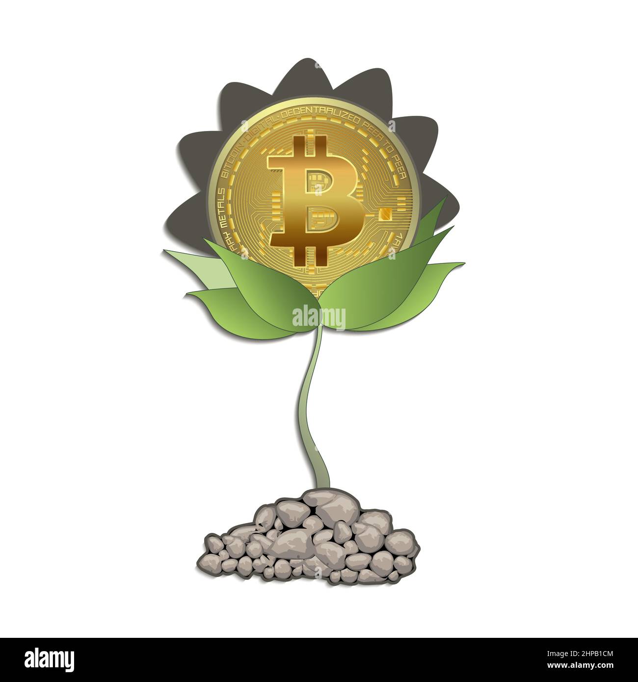 Flower growing on the rock Stock Vector Images - Alamy