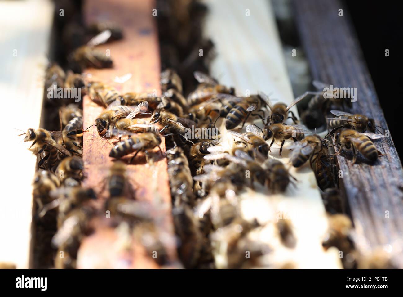 Bringing movement hi-res stock photography and images - Alamy