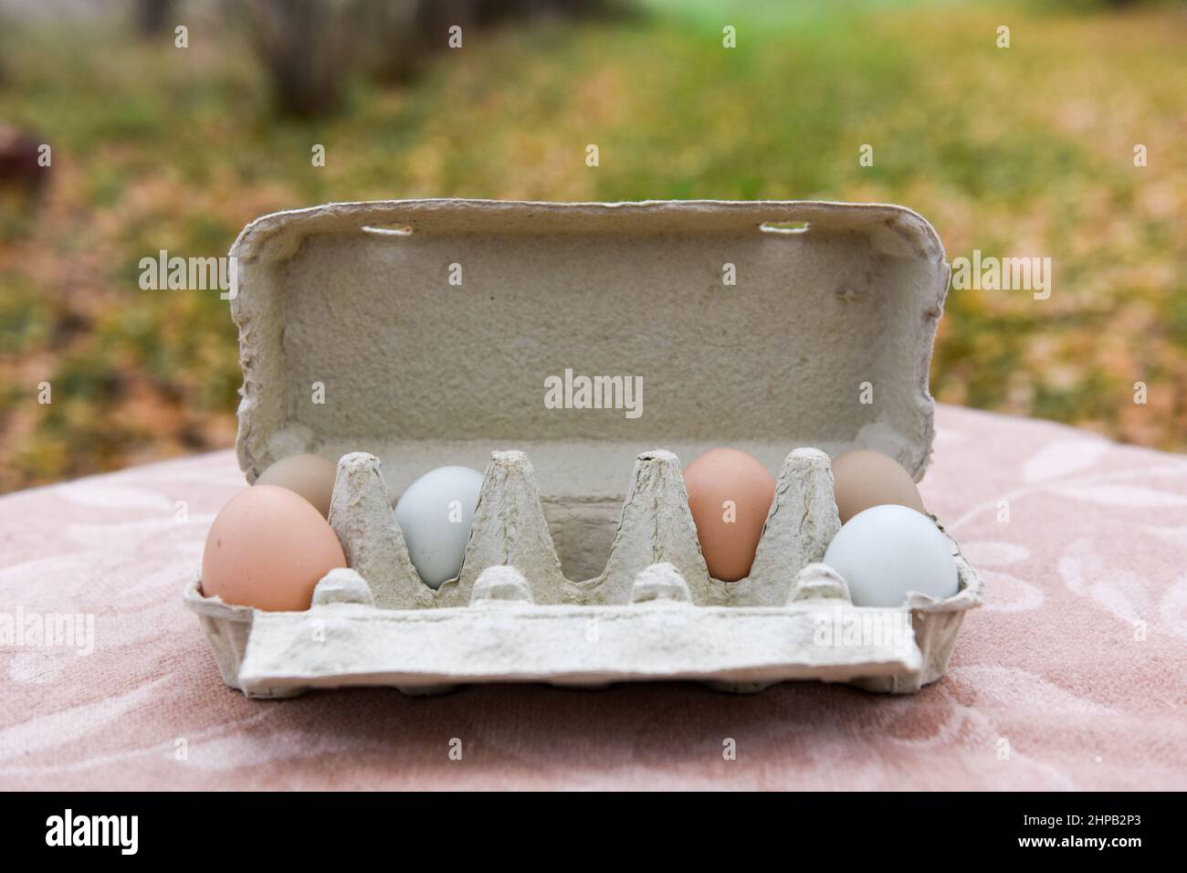 Carton egg box hi-res stock photography and images - Alamy