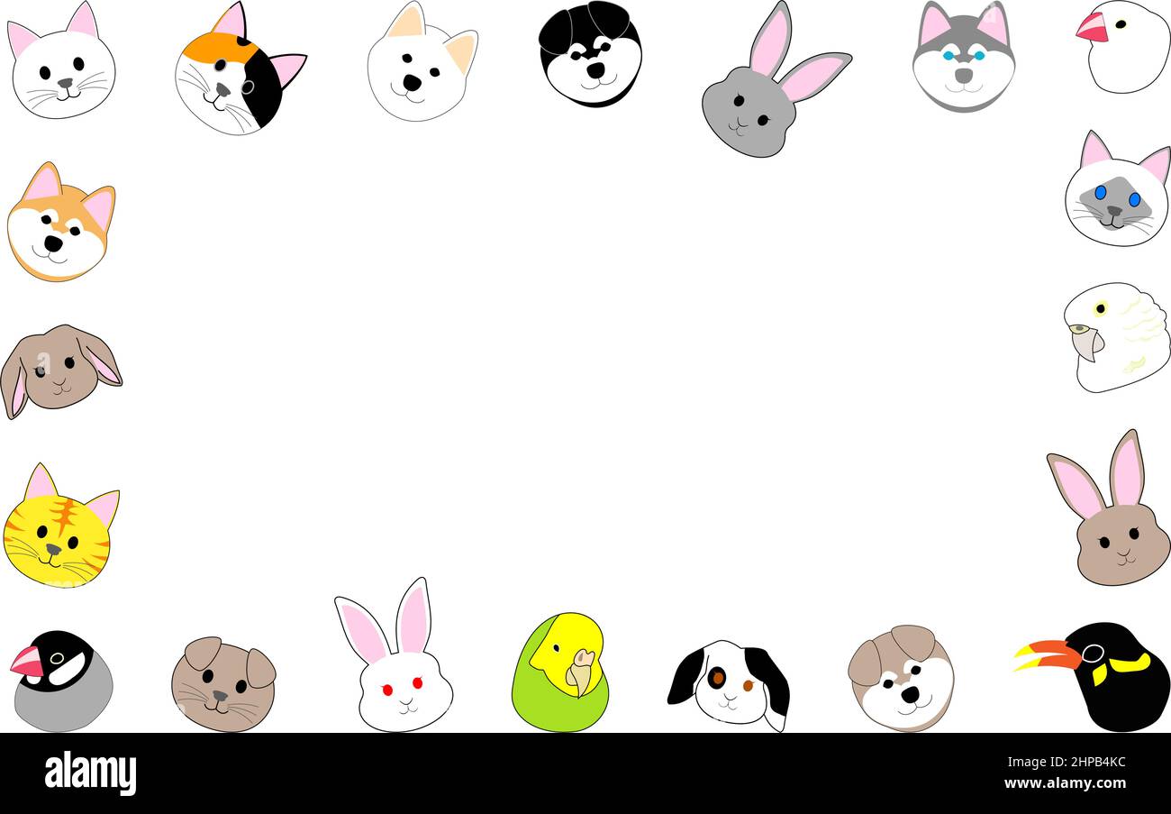 A frame of animals: cats, dogs, rabbits, and birds Stock Photo - Alamy