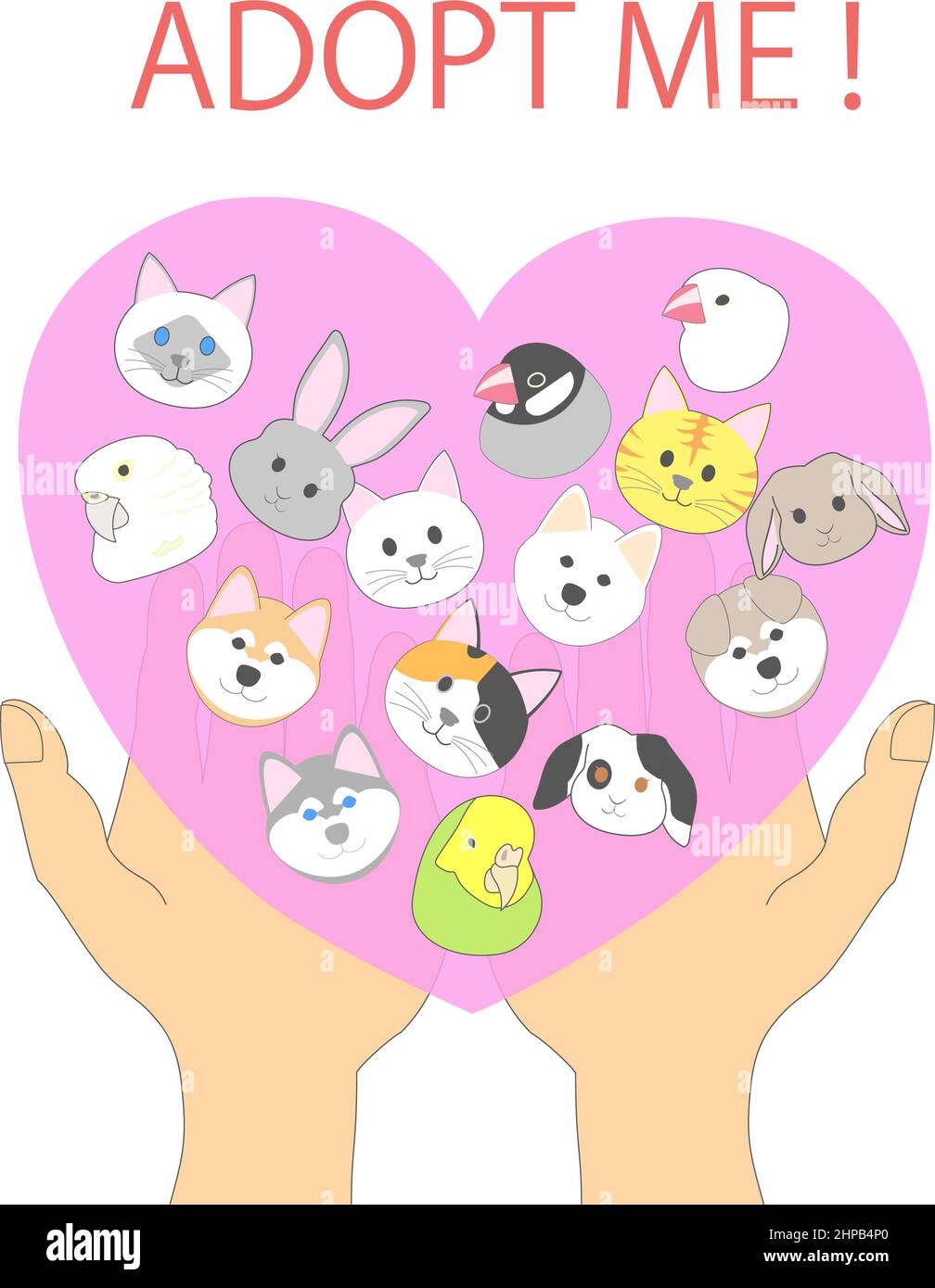 Animal adoption: holding hands with cats, dogs, rabbits, and birds ...